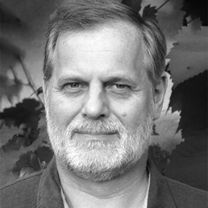 Diagnose von Vaskulitiden